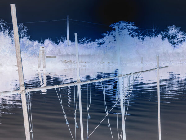 Beyond Heritage. Un percorso fotografico tra arte e scienza - Mostra ...